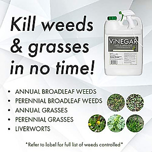 Vinegar Weed & Grass Killer with Sprayer – Weed & Grass Killer Approved for Organic Production | Pet Safe | Glyphosate Free Herbicide - 1 Gallon with Sprayer