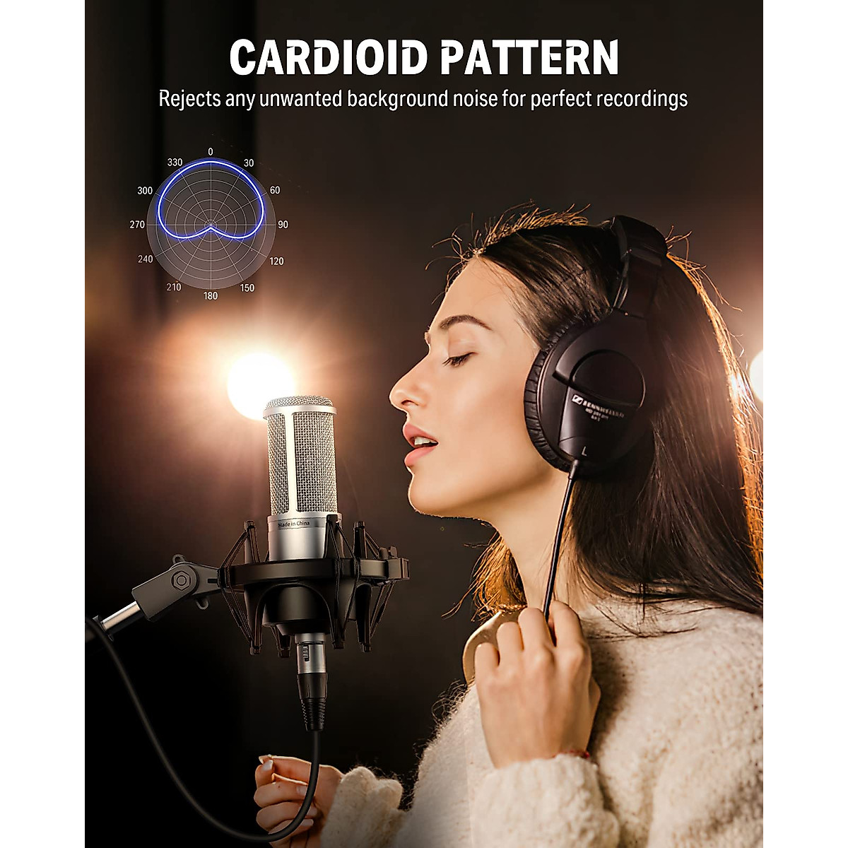 Donner Condenser Microphone, Recording Microphone for Vocal, Instruments & Music, Podcast XLR Microphone for Beginners with Pop Filter, Shock Mount, Optimized Frequency, Ideal for Home Studio, DC-20