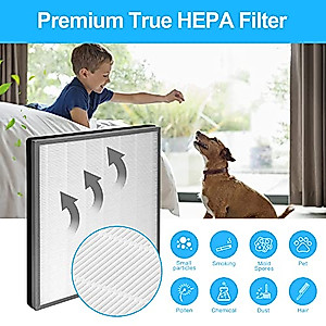 FCFMY True HEPA Replacement Filter for Shark HE400 HE401 HE402 HE405 4 Fan Purifier, 3-in-1 Filter with Pre-Filter, Carbon and HEPA Filter,Part # HE4FKPET