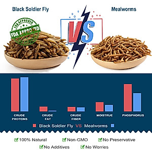 WORKPOINT 10LBS Black Soldier Fly Larvae for Chickens, 100% Natural Premium Quality Non-GMO, Treats for Poultry, Chickens, Ducks and Geese