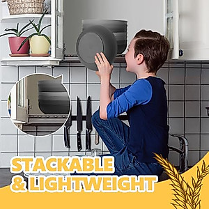 Teivio 24-Piece Kitchen Plastic Wheat Straw Dinnerware Set, Service for 6, Dinner Plates, Dessert Plate, Cereal Bowls, Pasta Bowls, Unbreakable Outdoor Camping Dishes, Black