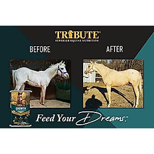 TRIBUTE Kalmbach Feeds Growth Pellets for Horse, 50 lb