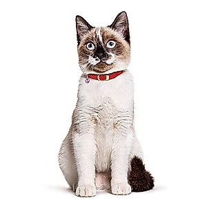 Murom Rolled Leather Cat Collar with Elastic Strap Safety Adjustable Pet Collars for Cats Kitten Yellow Red Pink Blue Orange Brown Gray (Black)