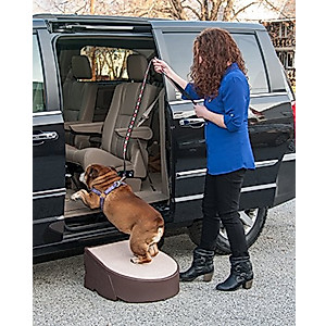 Pet Gear Stramp Stair and Ramp Combination for Dogs/Cats, Easy Step, Lightweight/Portable, Sturdy, Easy Assembly (No Tools Required) 2 Models, 3 Colors