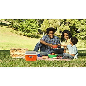 Pinnacle 4.5-11 liter Insulated Cooler Lunch Box set Portable Camping/Picnic Hard Cooler –Coolbox Keeps Cool for 48 hrs. with Ice Retention–Heavy Duty Cooler for Beach, Grill, Tailgating, small -med