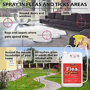 Harris Flea and Tick Killer, Liquid Spray with Odorless and Non-Staining Extended Residual Kill Formula (Gallon)