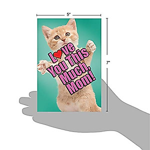 NobleWorks - 1 Funny Animal Birthday Card with Envelope - Cute Card for Birthdays - Cat Love You This Much Mom C6610GBMG