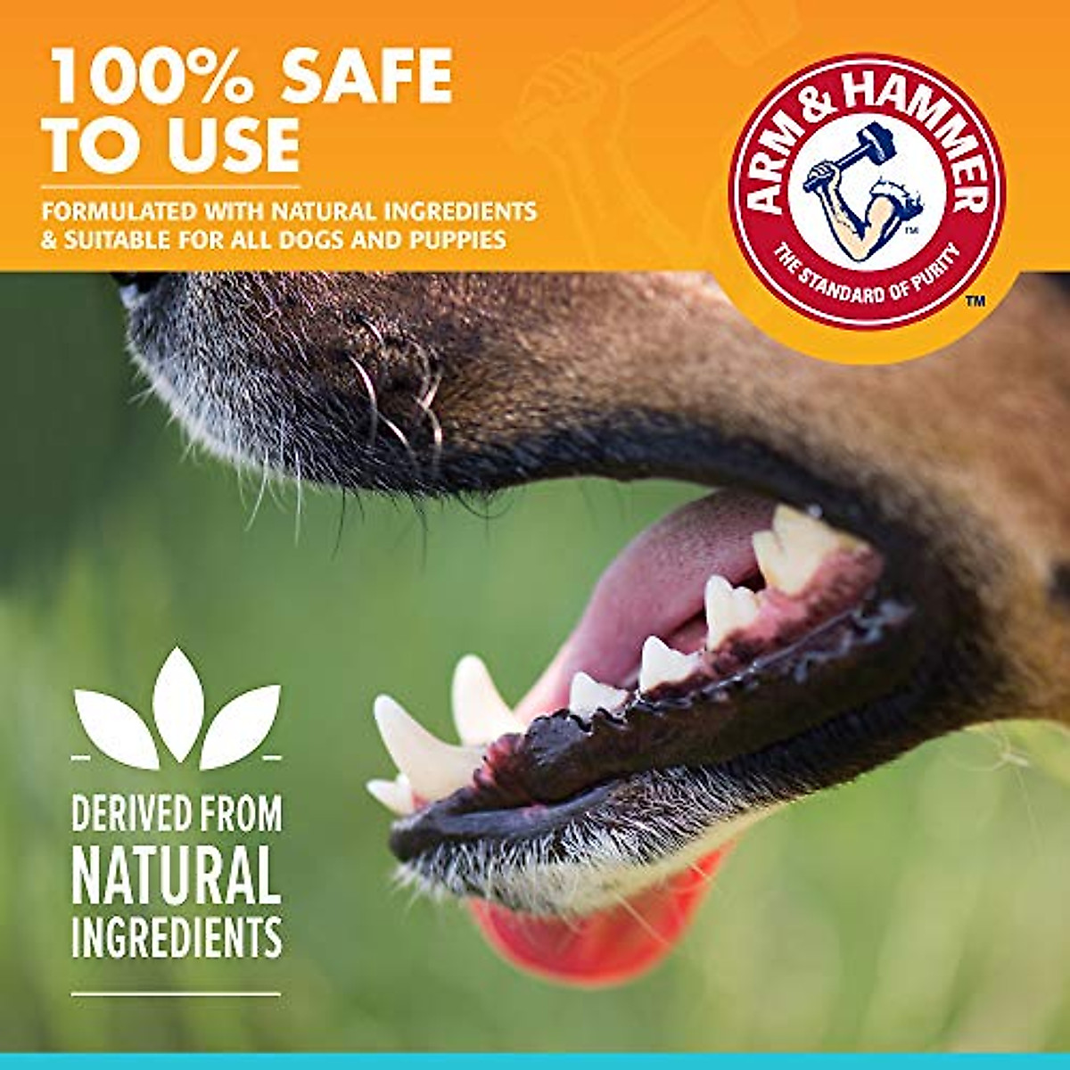 Arm & Hammer for Pets Fresh Breath Dental Spray for Dogs | Reduce Plaque & Tartar Buildup Without Brushing, 4 Ounces, Mint Flavor | Dog Teeth Cleaning Spray, Arm and Hammer Dog Dental Care