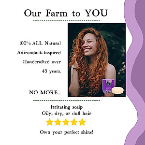 Adirondack Fragrance & Flavor Farm ADK Balsam Lavender Shampoo Bar for Oily Hair & Sensitive Scalp, Essential Oils, Sulfate-Free Plant-Based Vegan & Eco Friendly Solid Hair Cleanser, 2.5 Oz, 70 grams