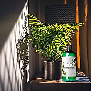 Lush Houseplant Fertilizer | 500ml Concentrated Liquid Fertilizer | Makes Over 50 Gallons | Made in The USA (500ml/16.9oz)