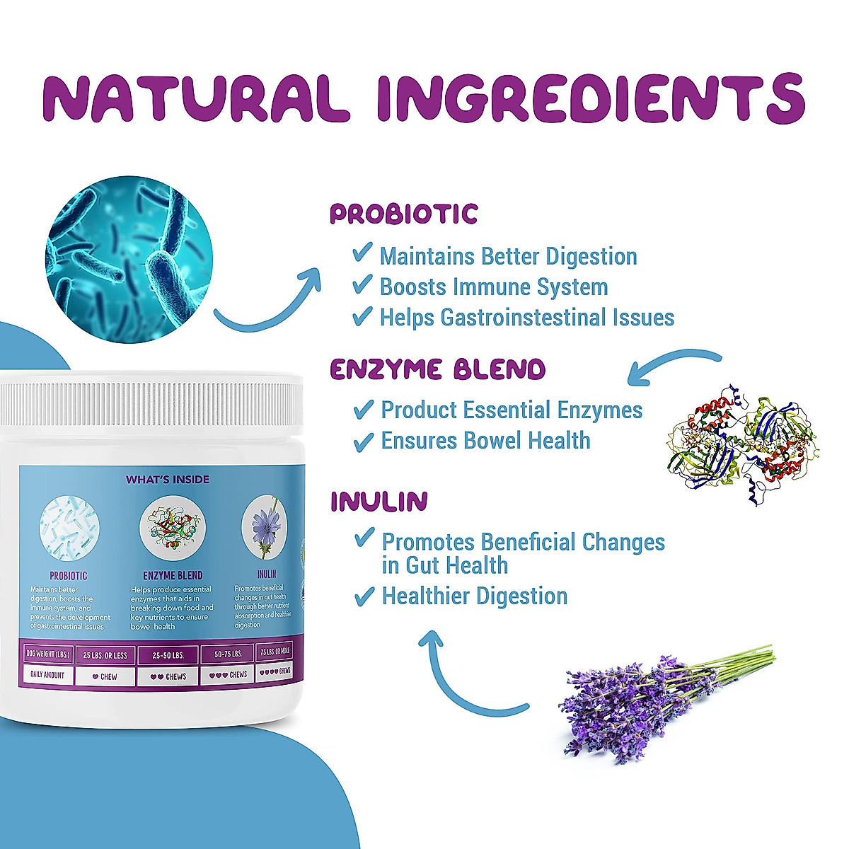 Healthy Dog World Digestive Chews with Enzymes - Probiotics for Dogs - Probiotic for Gut Flora, Digestive Health - Relieves Dogs Diarrhea - Bowel Support - Improves Digestion, Immunity - 120 ct.