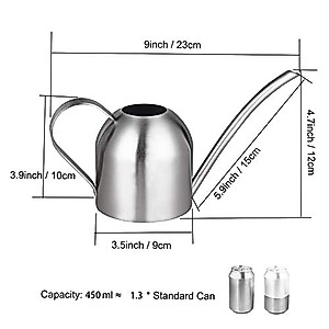 IMEEA Small Watering Can for Indoor Plants Stainless Steel Bonsai Watering can Mini Metal (15oz/450ml)
