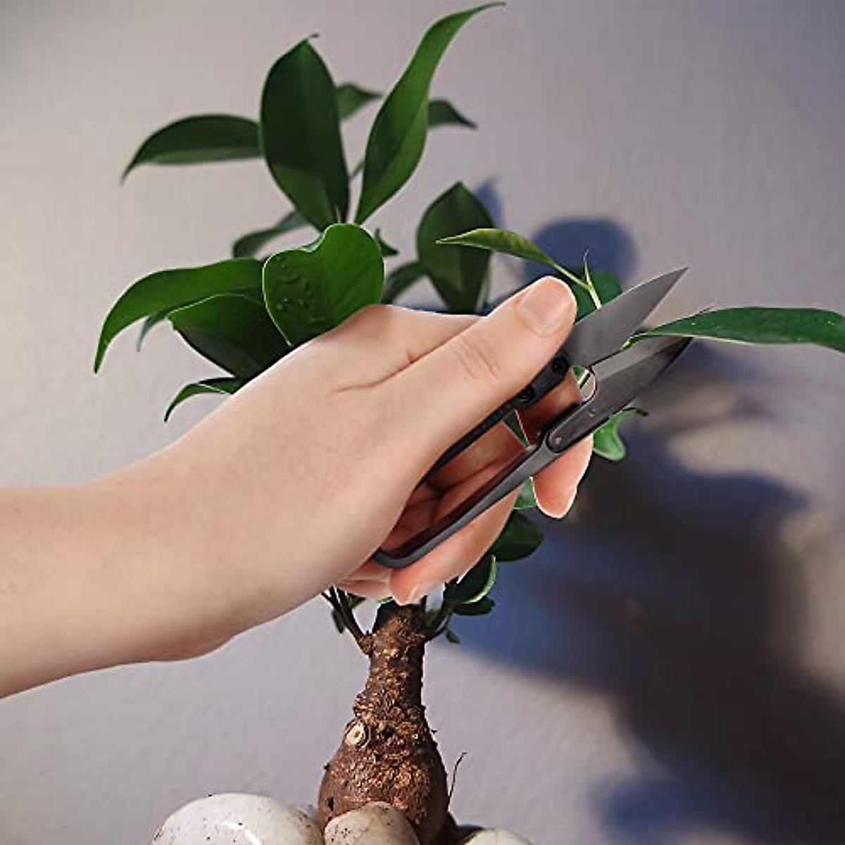 BambooMN Bonsai Tree Pruning Trimming Starter Tool Kit - Leaf Trimmers, and Bamboo Rake - 1 Set