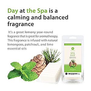 Flippin' Happy Spa Day and 10 Pieces of Regular Yellow Wax Melt Warmer Liners Bundle