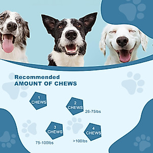 Omega 3 Fish Oil for Dogs, Salmon Oil Skin and Coat Supplement for Dogs Dog Allergy Relief, Dry & Itching Skin Relief Treatment, Allergy Chews - Dog Anti Shedding Treats - Shiny Coats - EPA & DHA