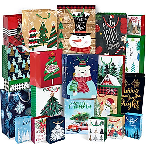 Party Funny 24 Christmas Gift Paper Bags Bulk with handles and 60 Count Christmas Gift Tags-Assorted sizes set for Wrapping Xmas Holiday Presents(6 Jumbo,6 Large,6 Medium,4 Small,2 Wine)