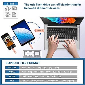 SCICNCE USB 3.0 Flash Drive 512GB Intended for iPhone, USB Memory Stick External Storage Thumb Drive Photo Stick Compatible with iPhone, Android and Computer (Rose Gold)