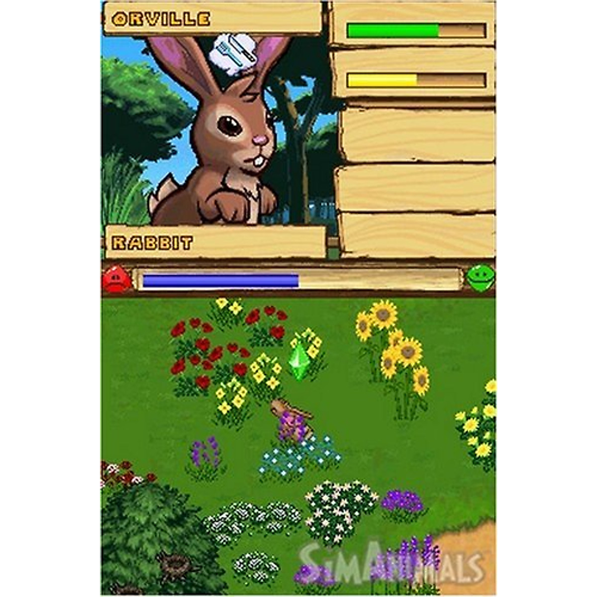 SimAnimals - Nintendo DS (Renewed)