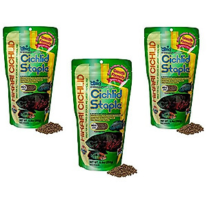 (3 Pack) Hikari Cichlid Staple Floating Pellets for Pets, Mini - 8.8-Ounce each