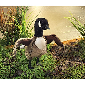 Folkmanis Canada Goose, Brown/a