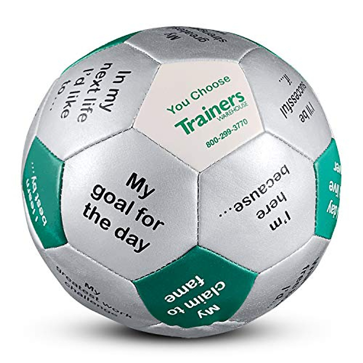 Session Openers Thumball 6" | Icebreaker Game for Training | Stimulate Conversations About Motivations and Goals | 32 Panels to Prompt Conversation