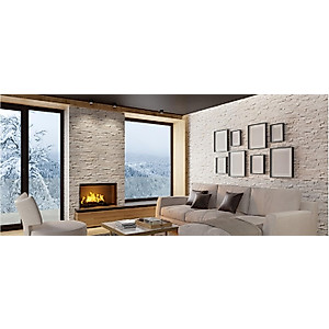 Real JellyFish Flame Premium Gel Fuel 4 Cans Indoor or Outdoor Made in USA 13oz