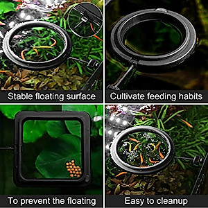 Cobee Fish Feeding Ring, 2 Pieces Aquarium Fish Feeder Fish Tank Food Feeder Circle Tank Accessories for Guppy Bettas Goldfish Turtle (Black)