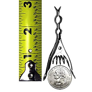 Henry Berry & Dairy Extreme Clothespins | Solid 304 Stainless Steel | 20 Pack | Heavy Duty | Anti-Rust | Laundry Pins | Clothes Pins | Chip Clips | Lifetime Product | No Plastic | Made in Italy