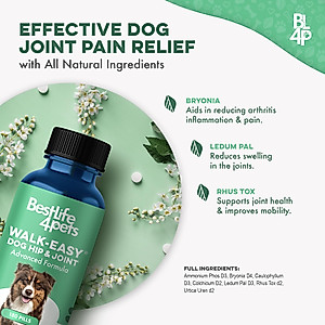 Advanced Hip and Joint Supplement for Dogs - Natural Extra Strength Dog Arthritis Pain Relief & Anti Inflammatory for Dogs Helps Limping, Mobility Issues, Hip Dysplasia, ACL Tears - 180 Tiny Pills