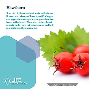 Life Extension Cardio Peak - Hawthorn Extract (Leaf, Flower, Stem) Supplement with Arjuna Extract for Heart Health Support - Twice Daily - Gluten Free, Non-GMO, Vegetarian - 120 Capsules