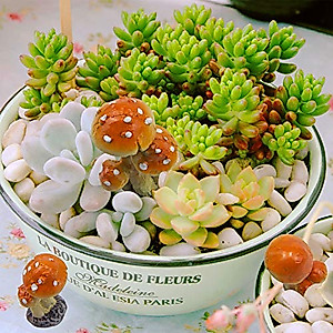 ODDIER 3pcs Resin Mushroom Miniature Fairy Garden Decoration Accessories Garden Sculptures Statues,Yard Garden Decor for Outside Gnomes Outdoor Decor for Patio Zen Garden