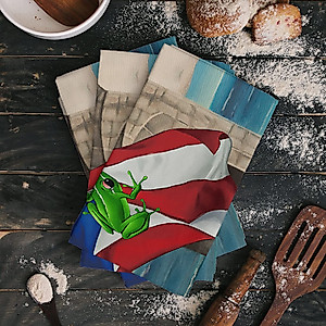 Kitchen Dish Towels 2 Pack-Super Absorbent Soft Microfiber,Puerto Rico Flag Frog Ocean Beach Cleaning Dishcloth Hand Towels Tea Towels for Kitchen Bathroom Bar