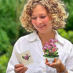 Freshcut Paper Pop Up Cards, 6 Inch Mini Sized Forever Flower Bouquet 3D Popup Greeting Cards, Birthday Gift Cards, Birthday Gifts with Note Card and Envelope, Mini Orchid Oasis