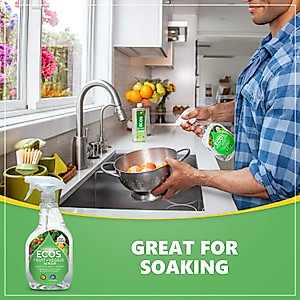 ECOS® Non-Toxic Fruit + Veggie Wash: 22oz Spray Bottle by Earth Friendly Products (Pack of 2)