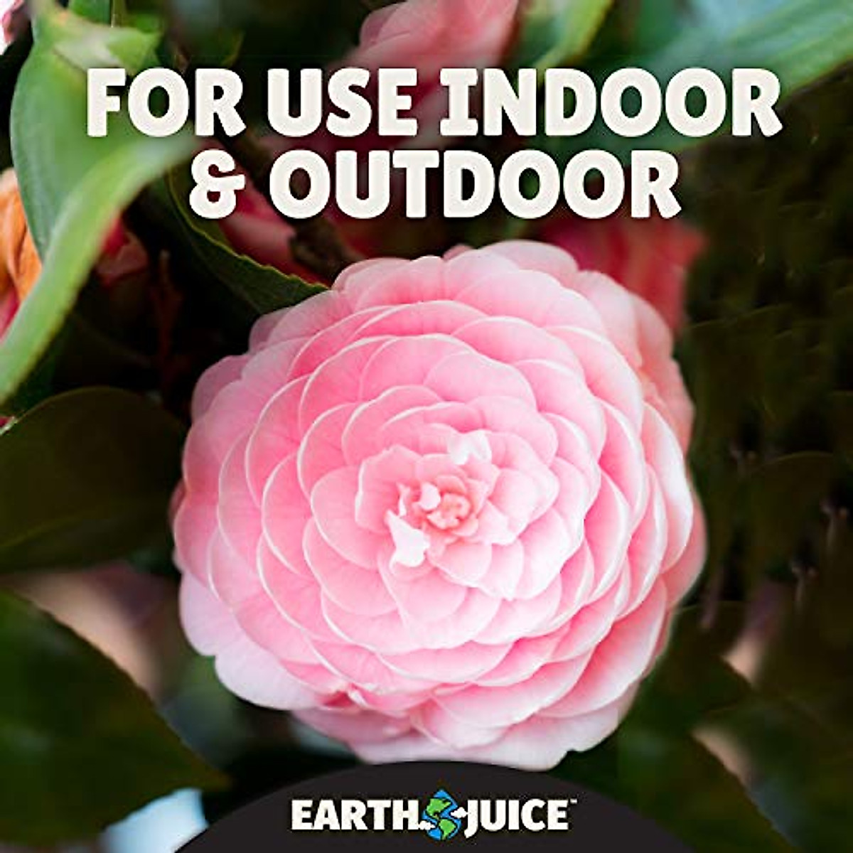 Earth Juice Hydroponic & Indoor Gardening Starter Kit Plant Fertilizer and Nutrients