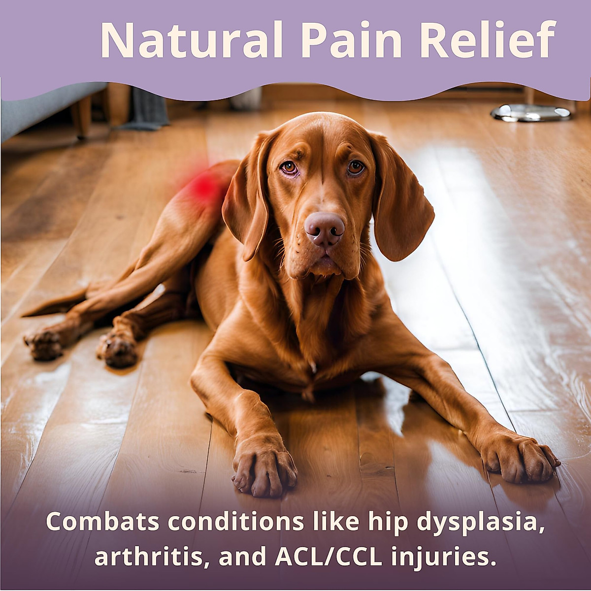 Glacier Peak Holistics HerbAprin - Natural Pain Relief for Dogs, Organic Herb Blend for Arthritis, Aches & Pains, and Hip & Joint Discomfort - 3oz