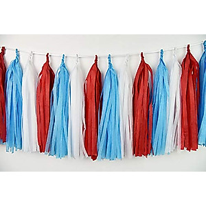 Dr Seuss Party Decorations Thing 1 and Thing 2 Birthday Party Decorations Cat in the Hat Birthday Party/Dr Seuss Baby Shower Decorations Turquoise White Red Tissue Pom Pom