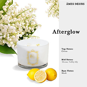 Healing Crystal Candles, Chakra Candles, 12oz Non Toxic Candles for Home, Spiritual Astrology Gifts for Women Mom. Organic Self Love Manifestation Candle with Natural Soy and Essential Oil