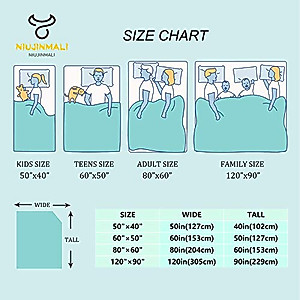 Cute Strawberry Fruit Blanket Cozy Soft Lightweight Flannel Throw Blanket for Bed Sofa Travel All Season Pets 40"x30"