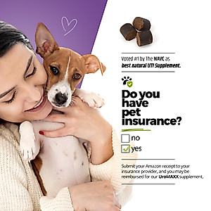 UroMAXX Dog Urinary Tract Infection Treatment, Bladder & Kidney Support for Dogs, Powerful Pet Care, Natural Soft Chews with Cranberry & Glucosamine, Made in The USA, Chicken Flavor, 90 Count, 1 Pack