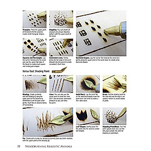 Woodburning Realistic Animals: 12 Step-by-Step Pyrography Projects of Birds, Pets, and Wildlife (Fox Chapel Publishing) Tutorials for Eyes, Fur, Manes, & Whiskers; Projects for Big Cats, Owls, & More