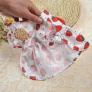 WEISHA Dog Dress 1PC Dog Floral Skirts Bow Princess Dress Dog Spring Summer Section Sweet Fresh Snap Style Puppy Clothes Pet Supplies(S,Light Blue)