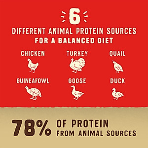 Stella & Chewy's Wild Red Dry Dog Food Raw Coated High Protein Wholesome Grains Prairie Recipe, 3.5 lb. Bag