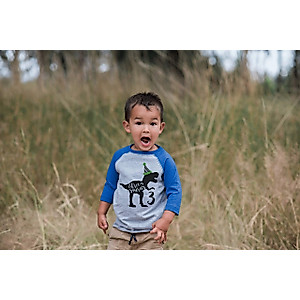 7 ate 9 Apparel Kid's Three 3rd Third 3 Dinosaur Birthday Dino Blue Raglan Tee 3T