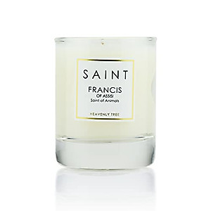 SAINT Francis of Assisi Scented Votive Candle with Prayer, Prayer Coin, and Holy Oil, Saint of Animals, Soy Coconut Aromatherapy Candle with 15 Hour Burn Time