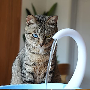 Rosfim Cat Water Fountain, 68 oz/2,0L LED Pets Dispenser Dog Water Fountain, Ultra Quiet Automatic Dog Drinking Fountain for Cat and Dog