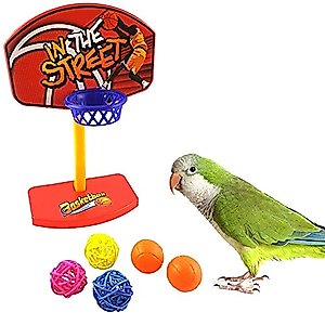 5 Balls+Bracket Parrot Pet Birdie Basketball in The Street Pet Shooting Hoop Balls Toy Parakeet Bell Prop Chew Random Set