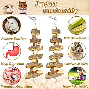DJun Bunny Chew Toys for Teeth Include Natural Apple Branch String Timothy Hay Sticks Timothy Hay Ring Timothy Hay Carrot for Rabbit Rodents Guinea Pigs Chinchilla Hamster (Style 1)