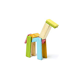Tegu 14 Piece Magnetic Wooden Block Set in Tints
