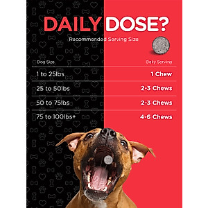 Horbäach Glucosamine for Dogs | 150 Chews | Hip and Joint Supplement for Dogs | Glucosamine, Chondroitin, MSM, Turmeric and More | Non-GMO & Gluten Free | by River & RULA